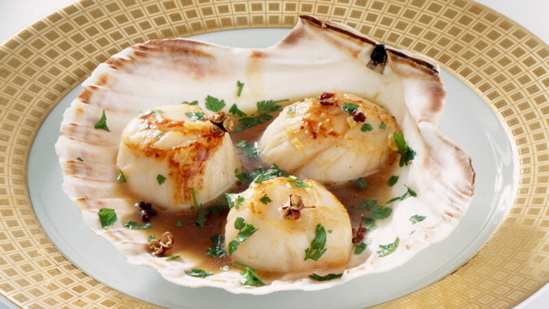 Coquilles: levend in de schelp of uit een pot? | Kokswereld